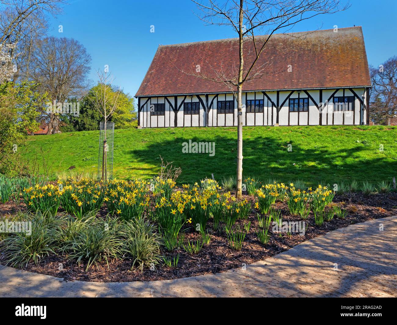 UK, North Yorkshire, York, Museum Gardens, The Hospitium in Spring ...