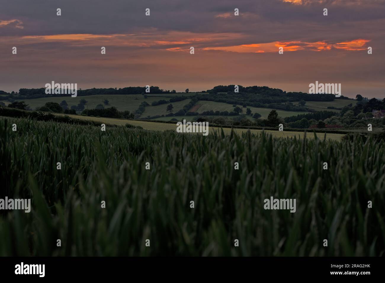 Circuit of Bath sunset walk Stock Photo - Alamy