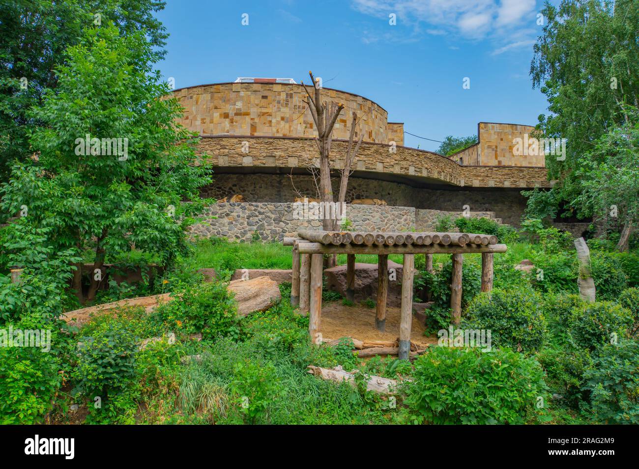 Wooden platform, log structure for animals, wooden house for the lion ...