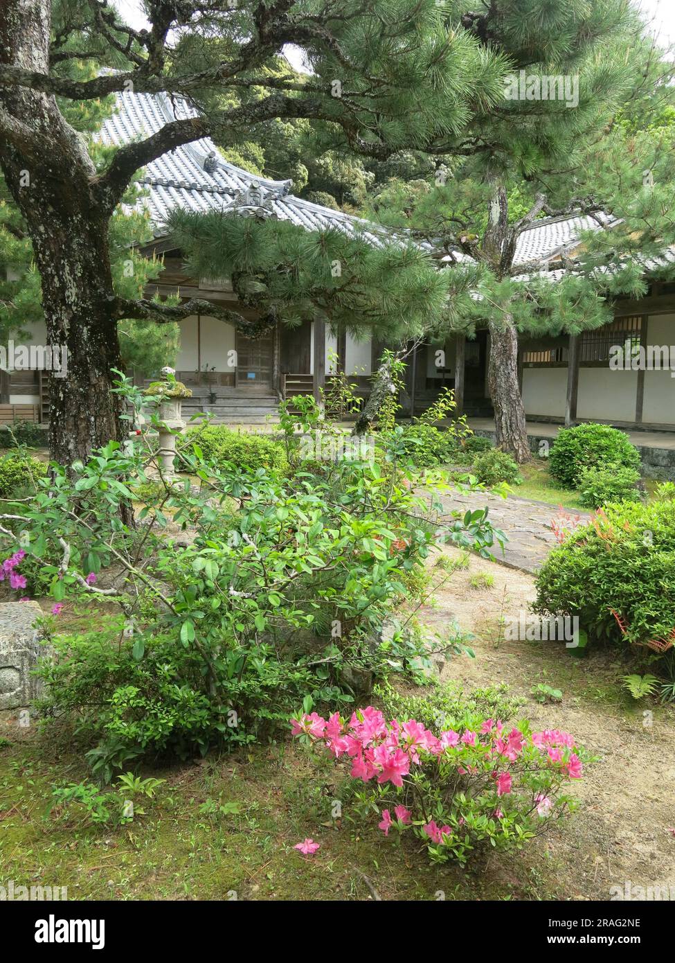 Cultural treasures of Japan and the temples of Japanese Zen Buddhism ...