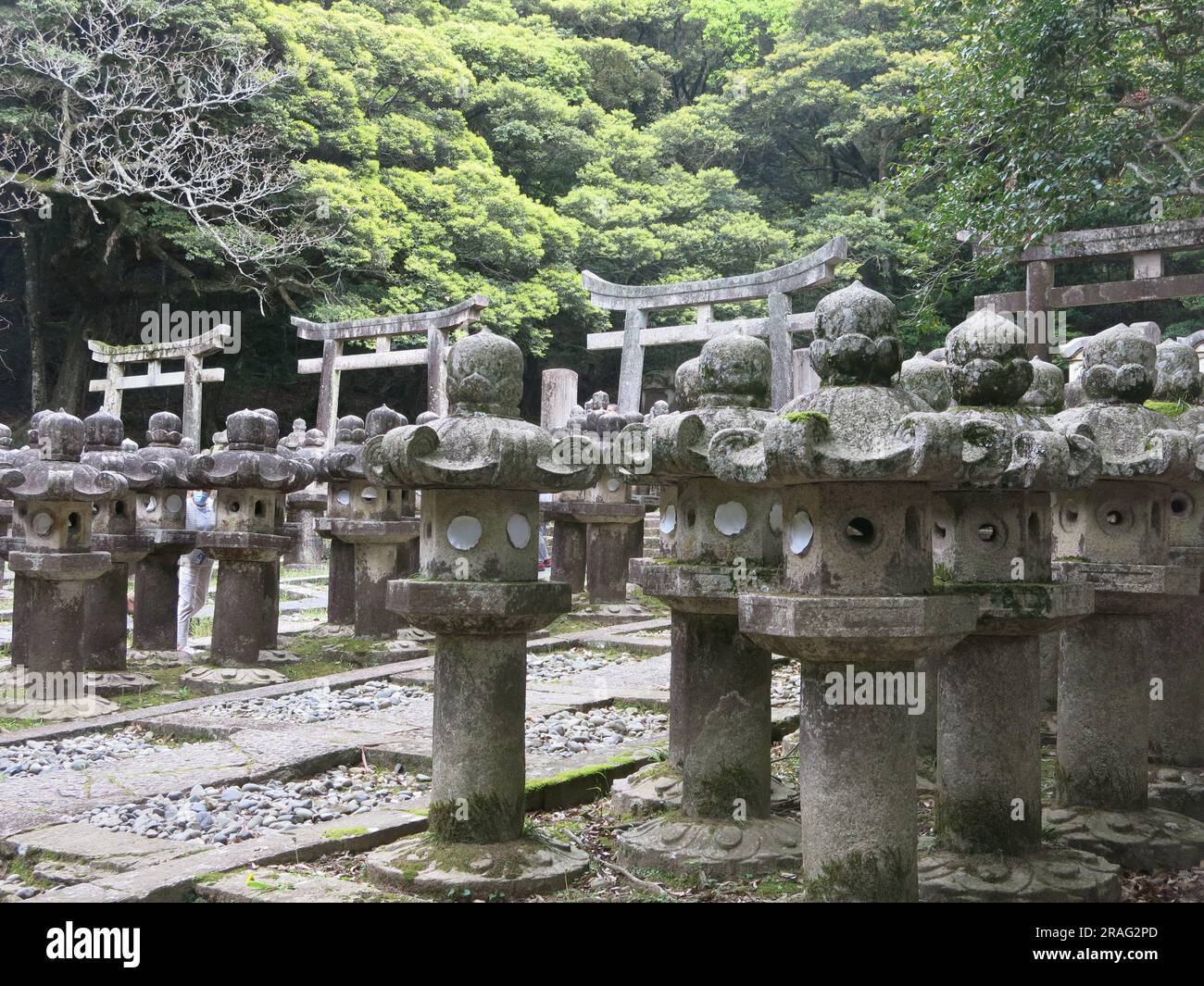 Tokoji Temple belongs to the Obaku School of Japanese Zen Buddhism and ...
