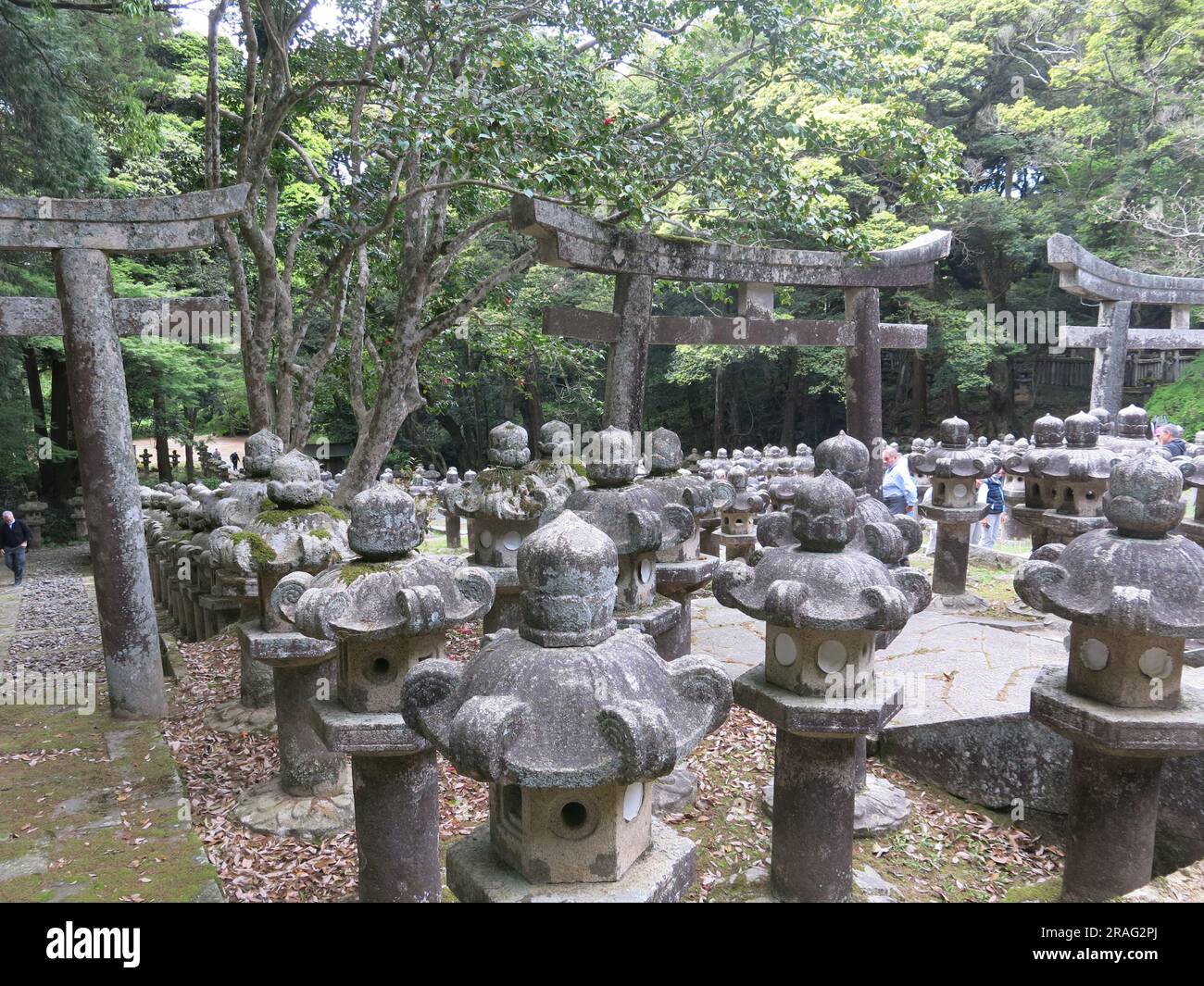 Tokoji Temple belongs to the Obaku School of Japanese Zen Buddhism and ...