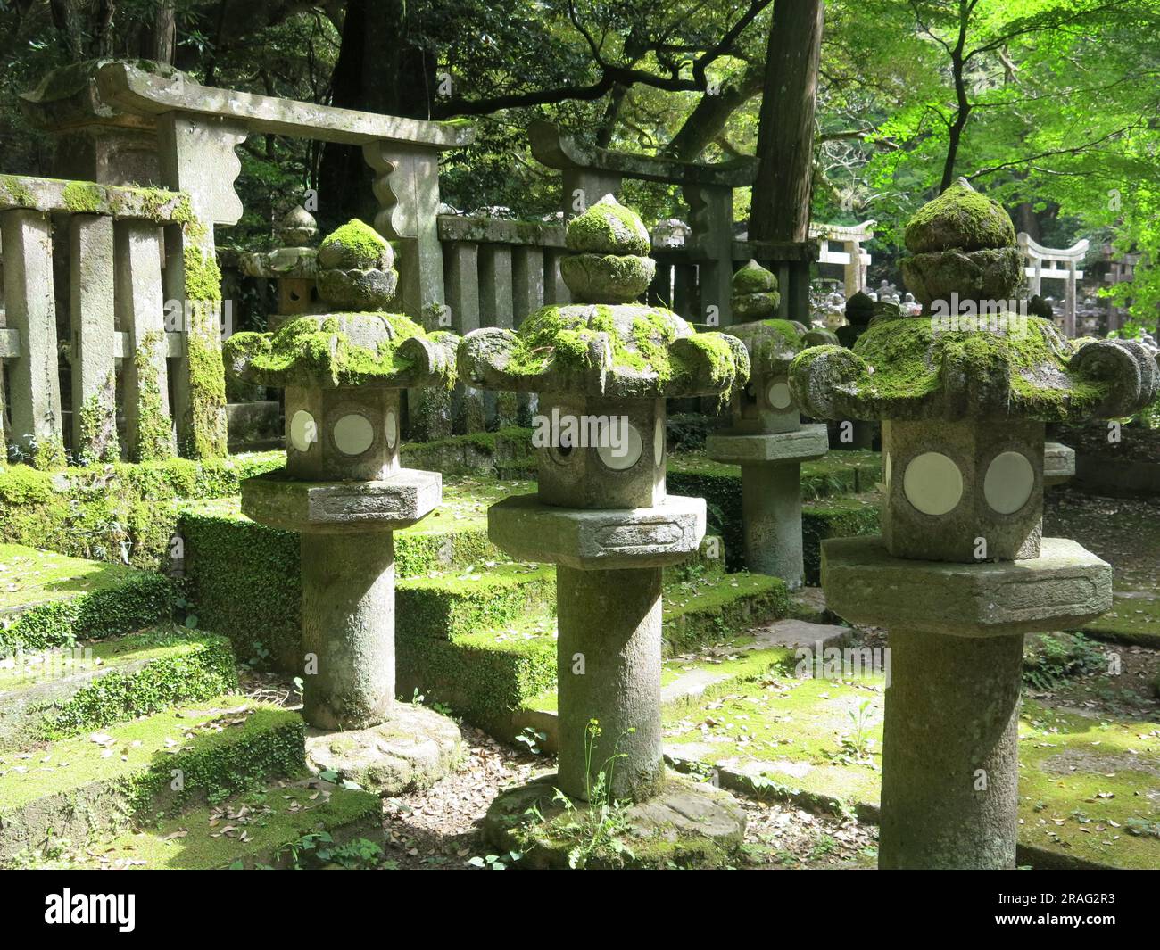 Tokoji Temple of the Obaku Japanese Zen School of Buddhism: view of the ...