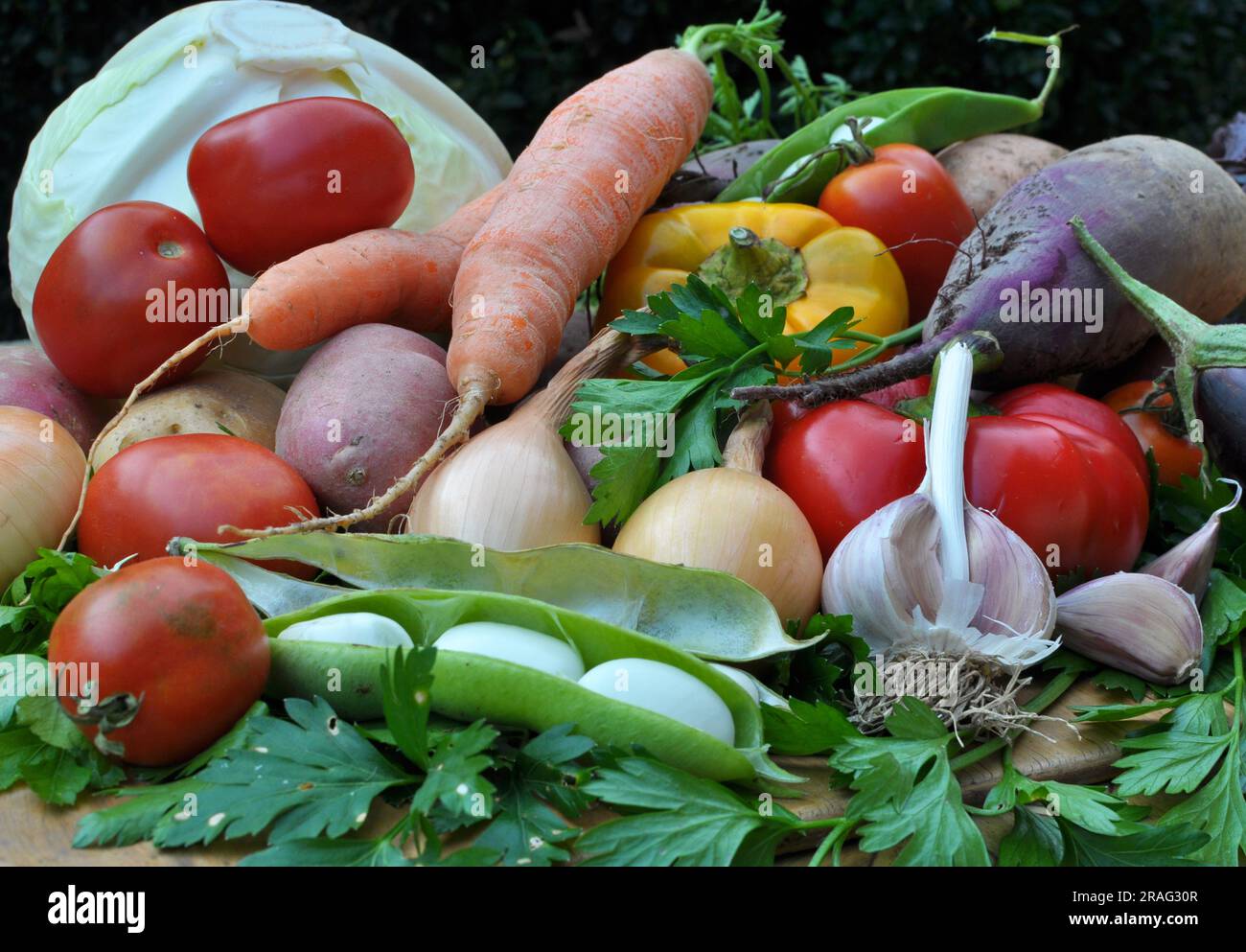 Set of vegetables for cooking red borscht Stock Photo - Alamy