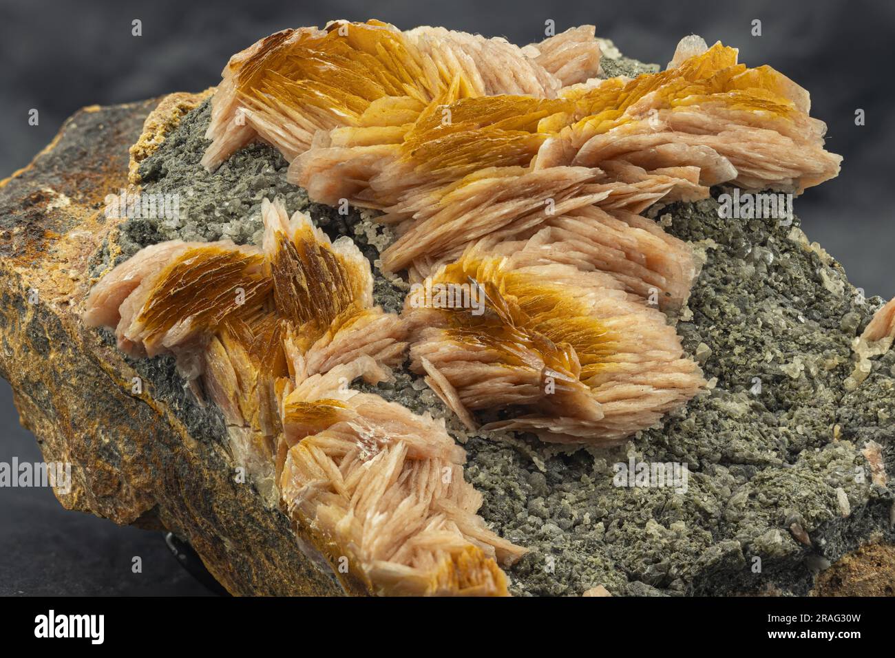 mineral specimen of barite on matrix Stock Photo - Alamy