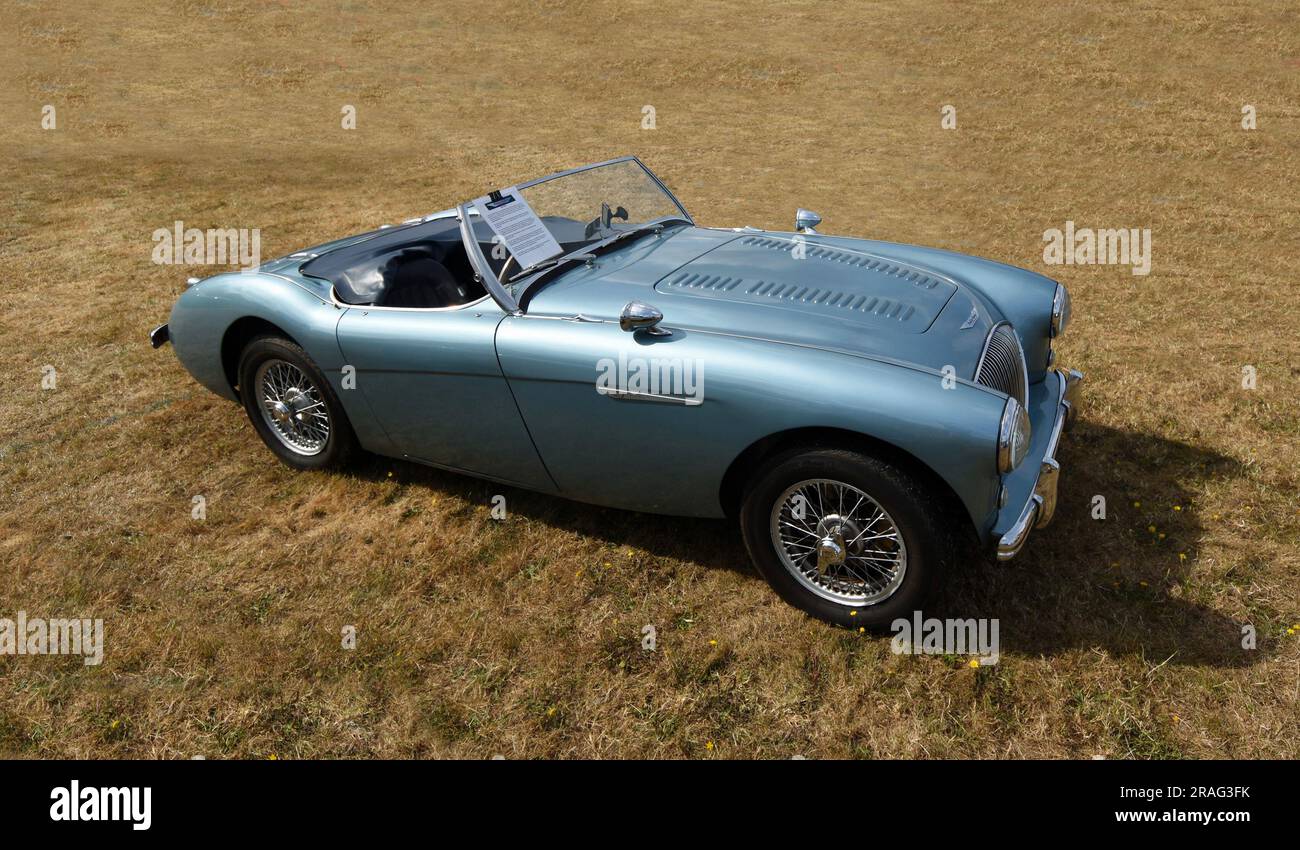 Classic 1955 Austin Healey 100-4 Motor Car parked on grass Stock Photo ...