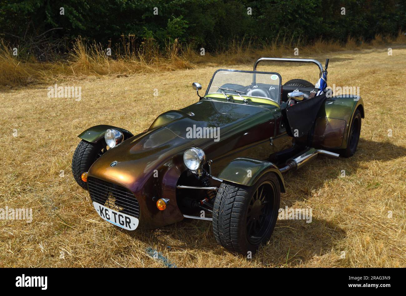 Classic Tiger Racing Sports car parked on grass Stock Photo - Alamy
