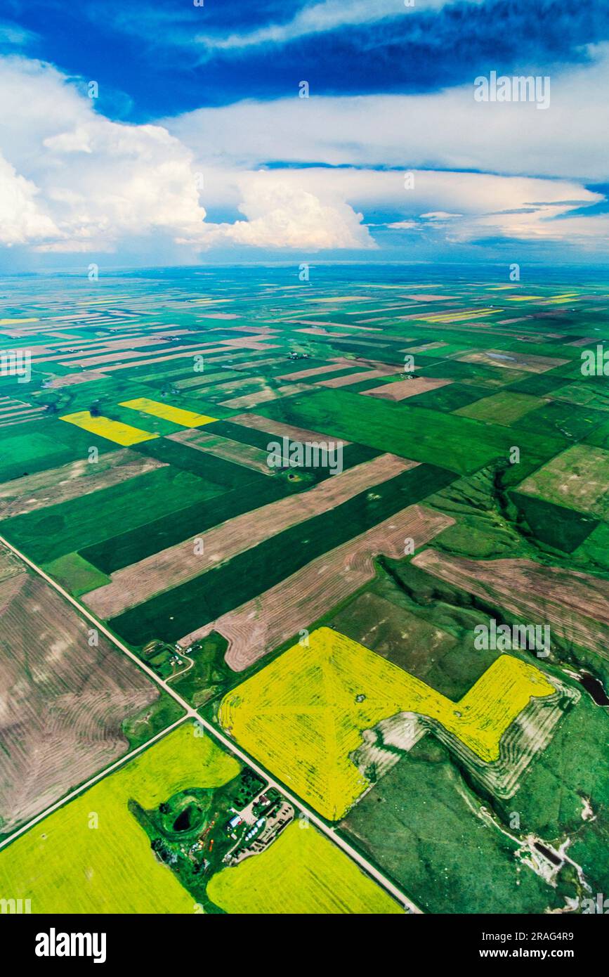 Aerial image of farms and fields, Alberta, Canada Stock Photo - Alamy