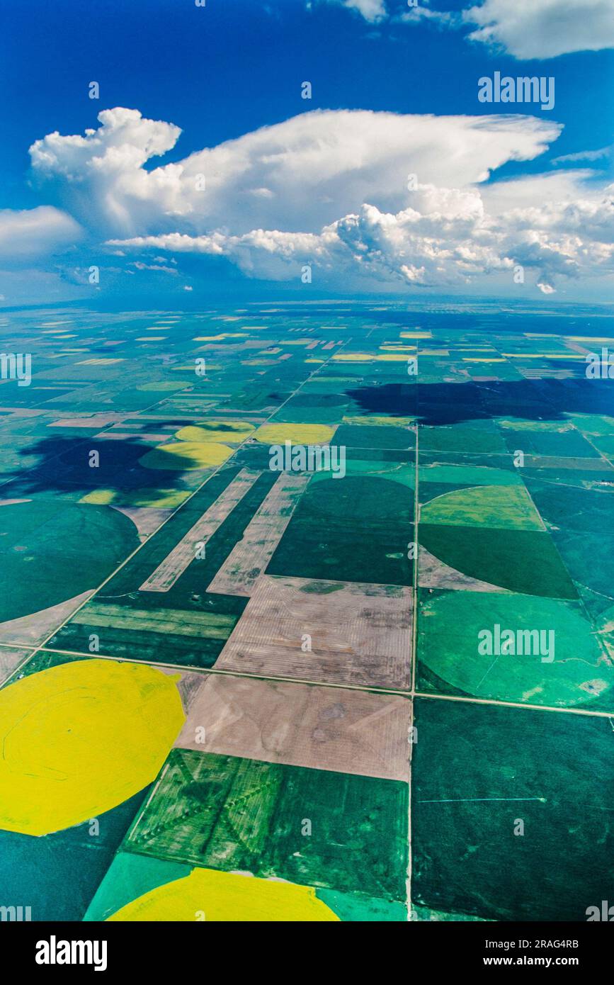 Aerial image of farms and fields, Alberta, Canada Stock Photo - Alamy