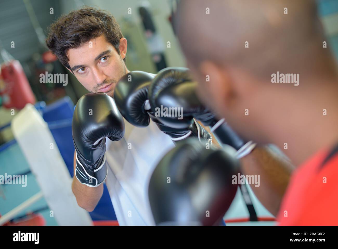 portrait of people during boxing practice at the gym Stock Photo - Alamy