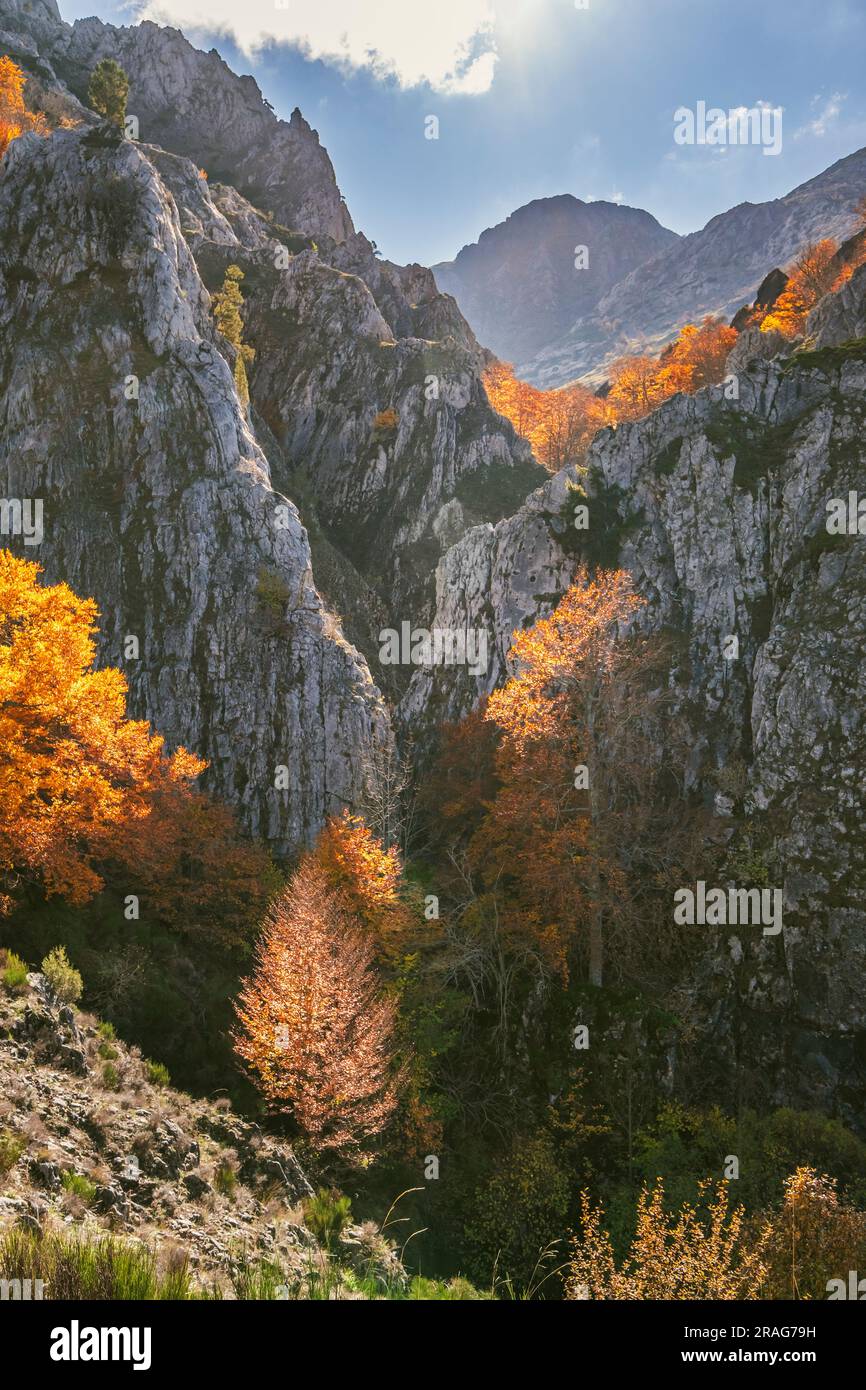 Narrow gorge with steep limestone walls carved by erosion in the ...