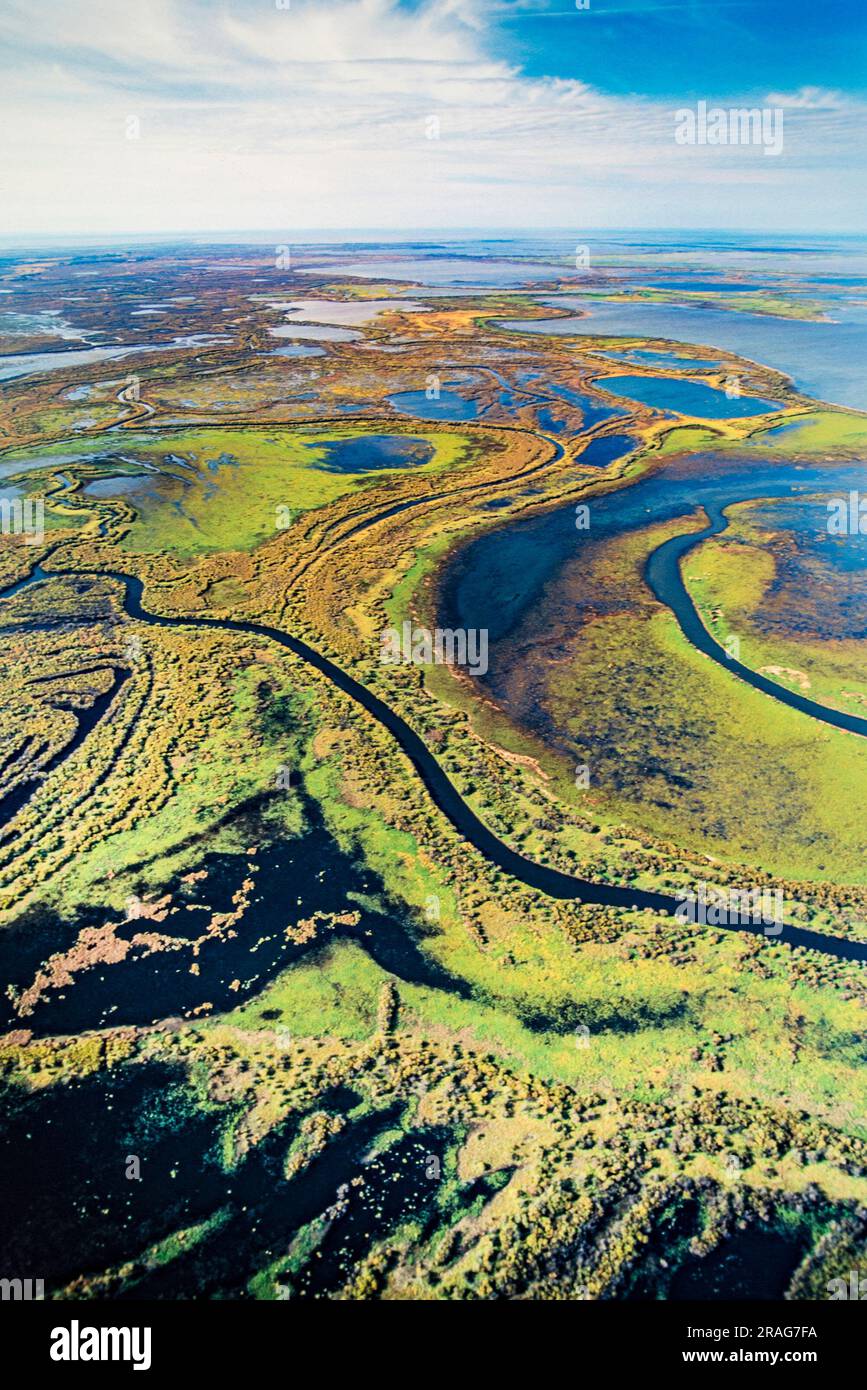 Wood buffalo national park hi-res stock photography and images - Alamy