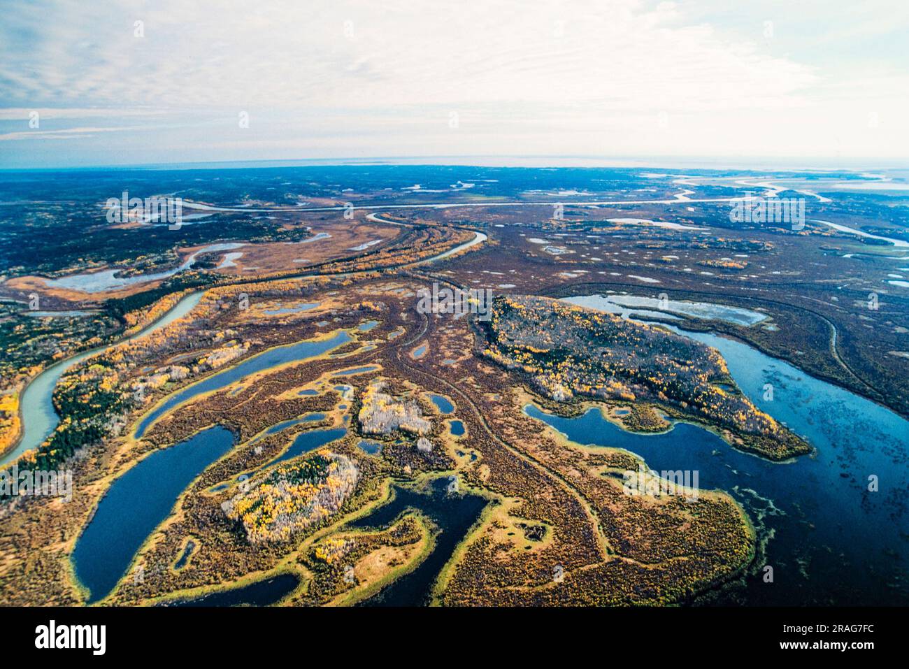 Wood buffalo national park delta hi-res stock photography and images ...