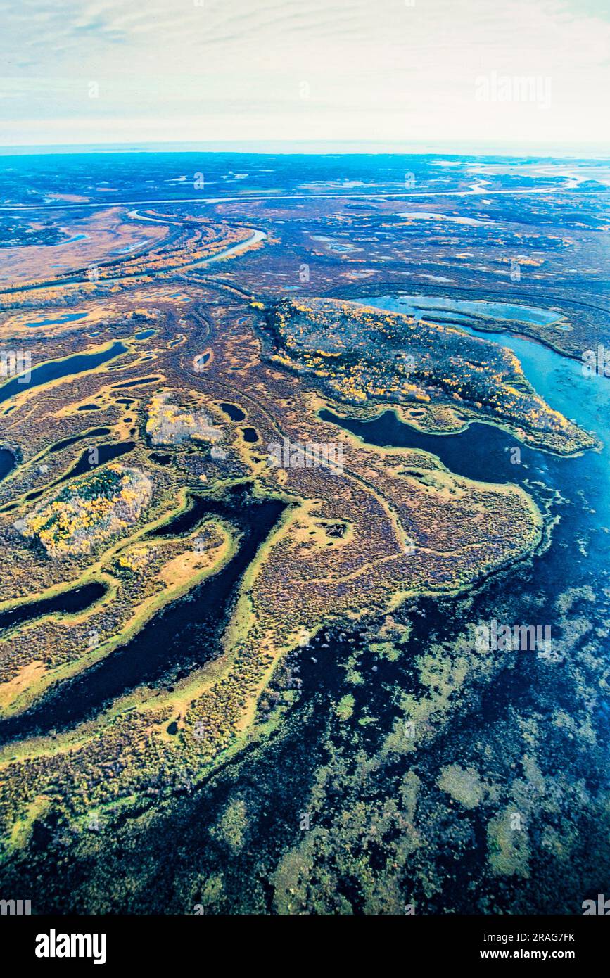 Aerial image of Wood Buffalo National Park, Alberta, Canada Stock Photo ...