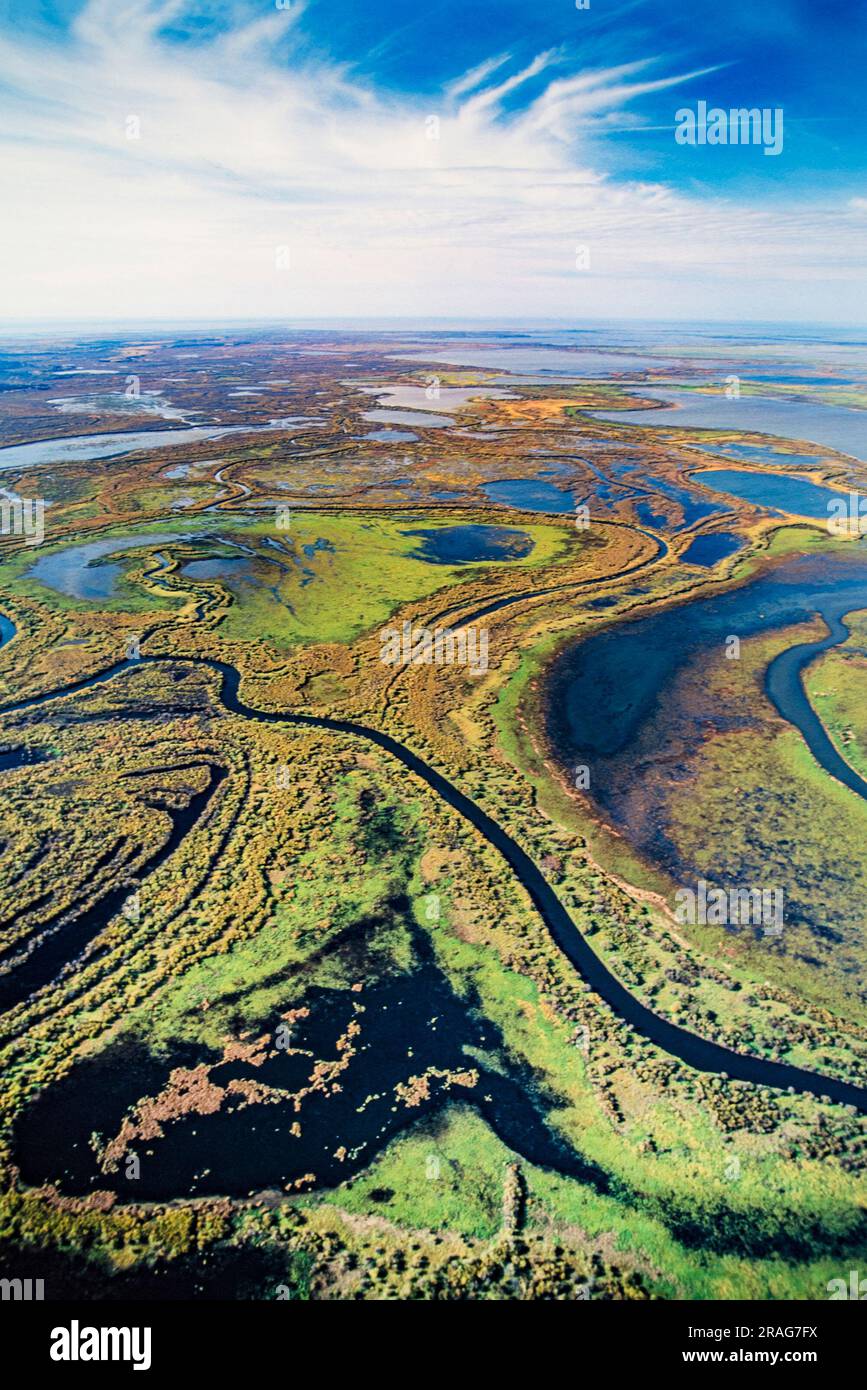 Wood buffalo national park hi-res stock photography and images - Alamy