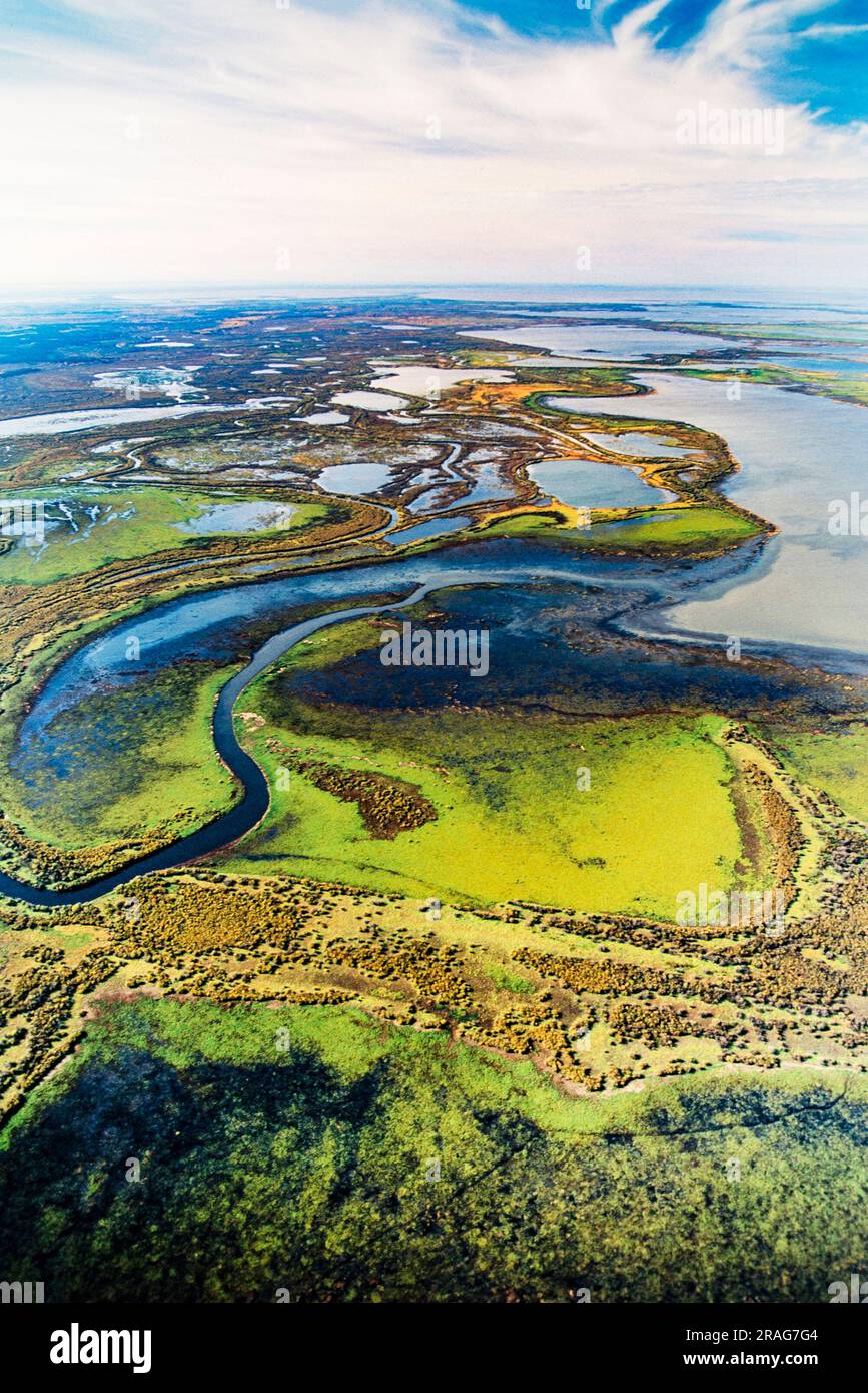 Wood buffalo national park hi-res stock photography and images - Alamy