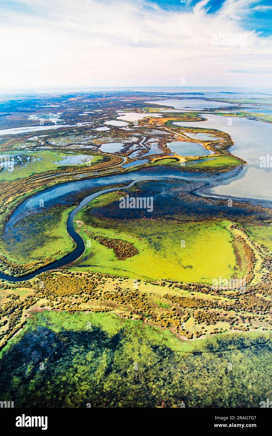 Aerial image of Wood Buffalo National Park, Alberta, Canada Stock Photo ...