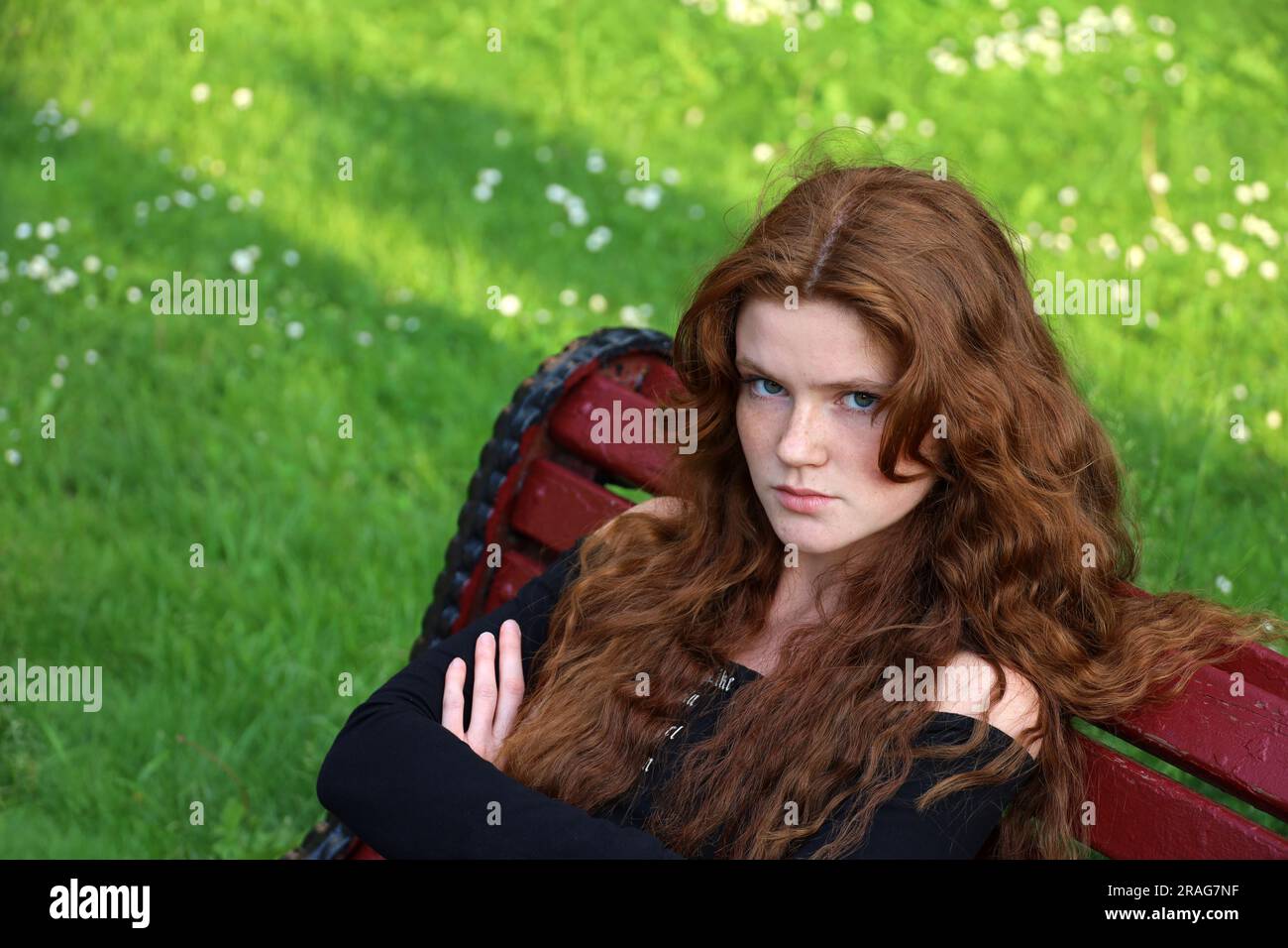 Portrait of attractive girl with long red hair and freckles sitting on ...
