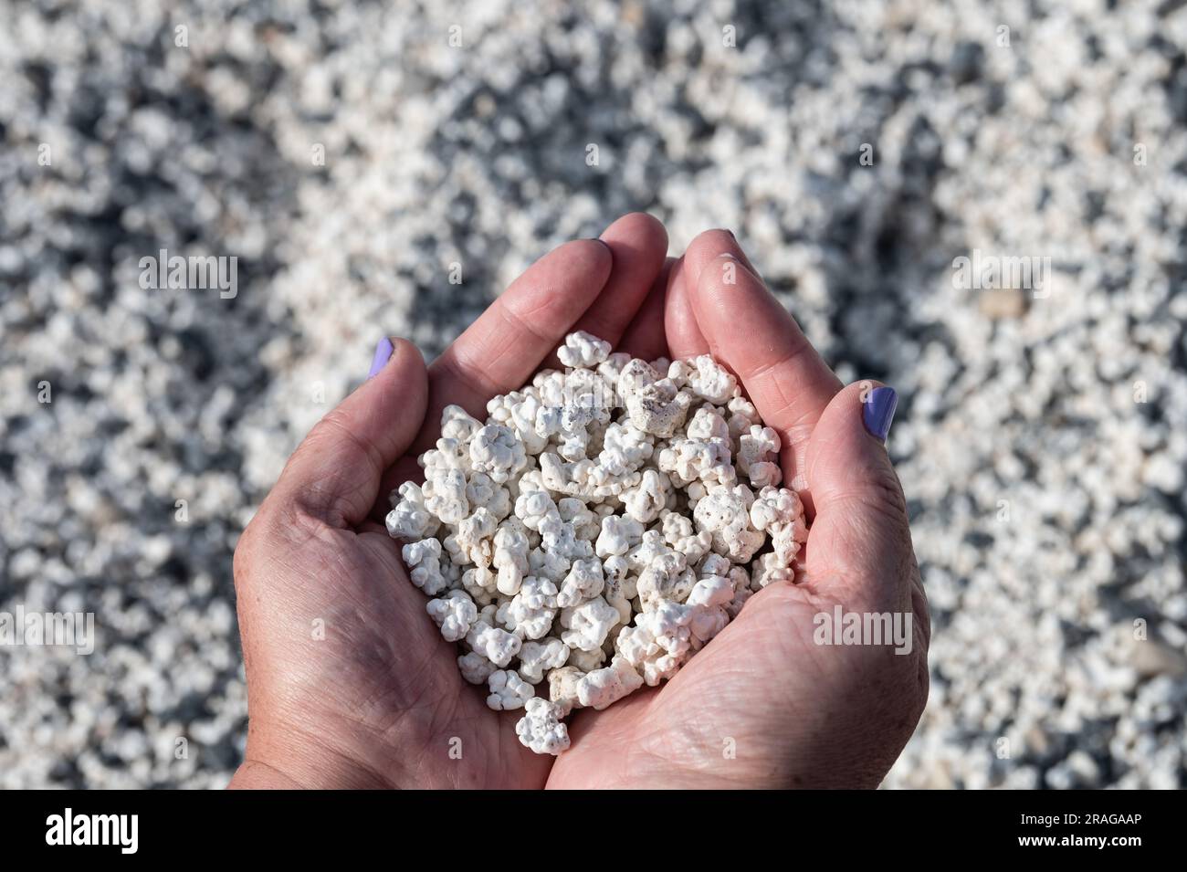 Popcorn beach canary islands hi-res stock photography and images - Alamy