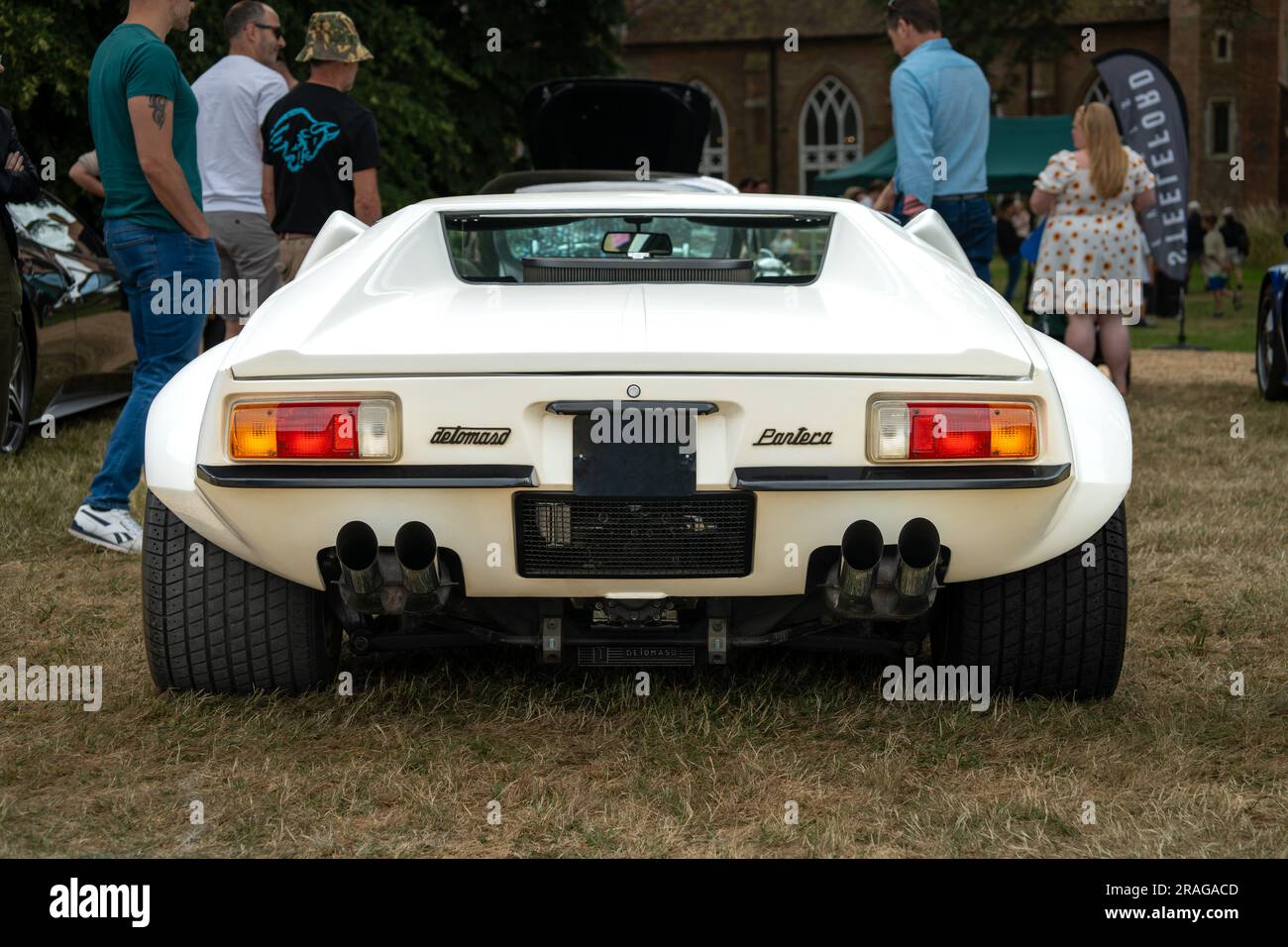 De Tomaso Pantera Rear View Stock Photo - Alamy