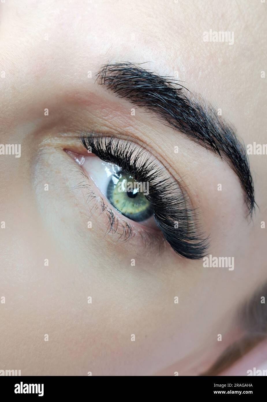 Close up of eye with eyelash extensions ,beauty salon treatment Stock ...
