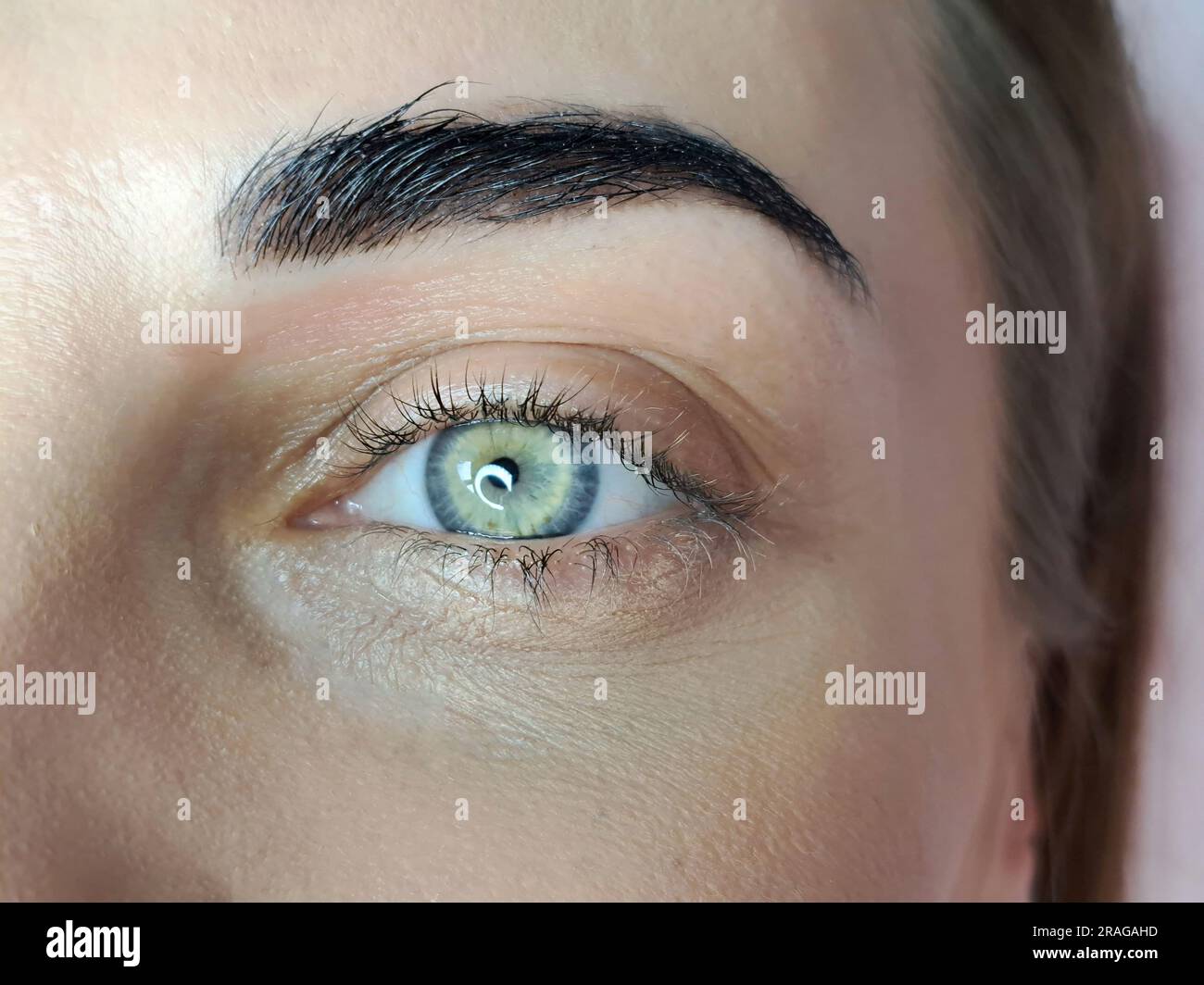 Close up of eye with eyelash extensions ,beauty salon treatment Stock ...