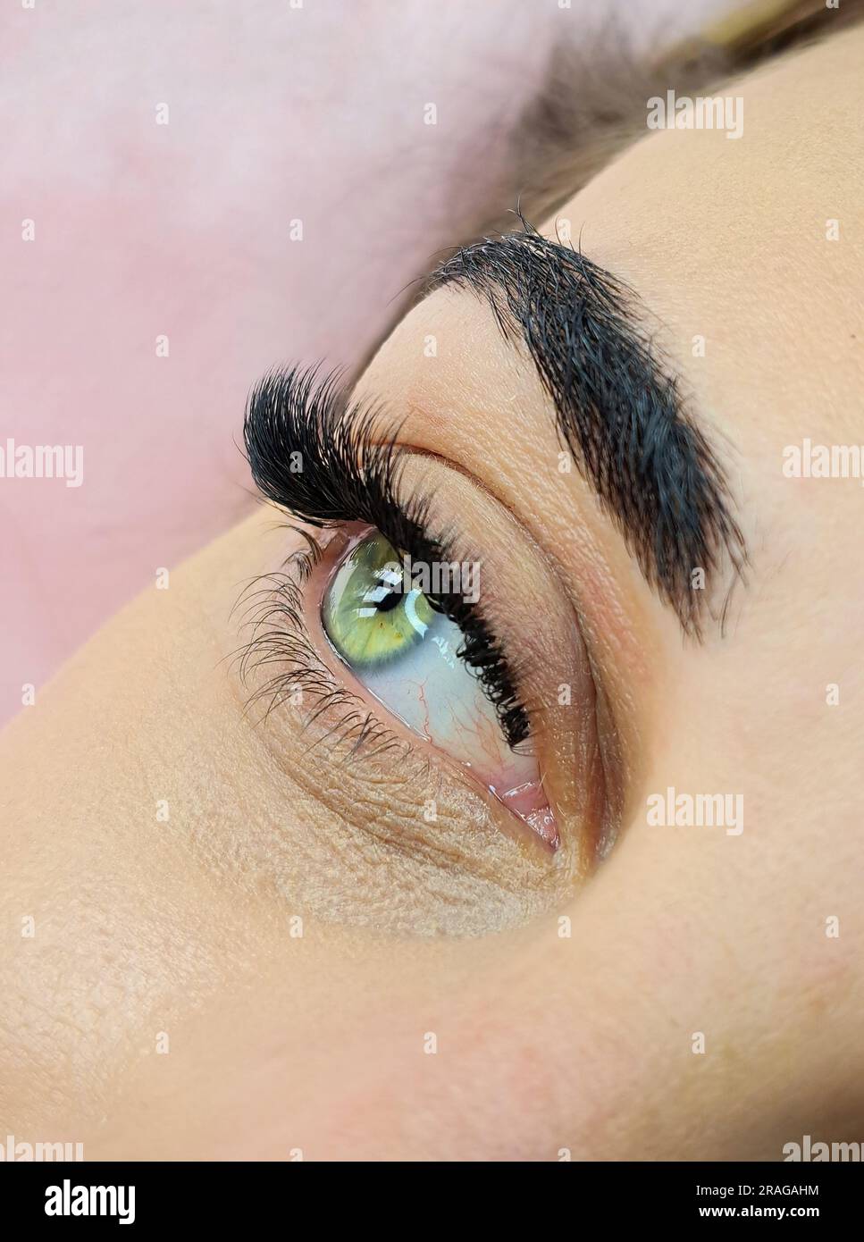 Close up of eye with eyelash extensions ,beauty salon treatment Stock ...
