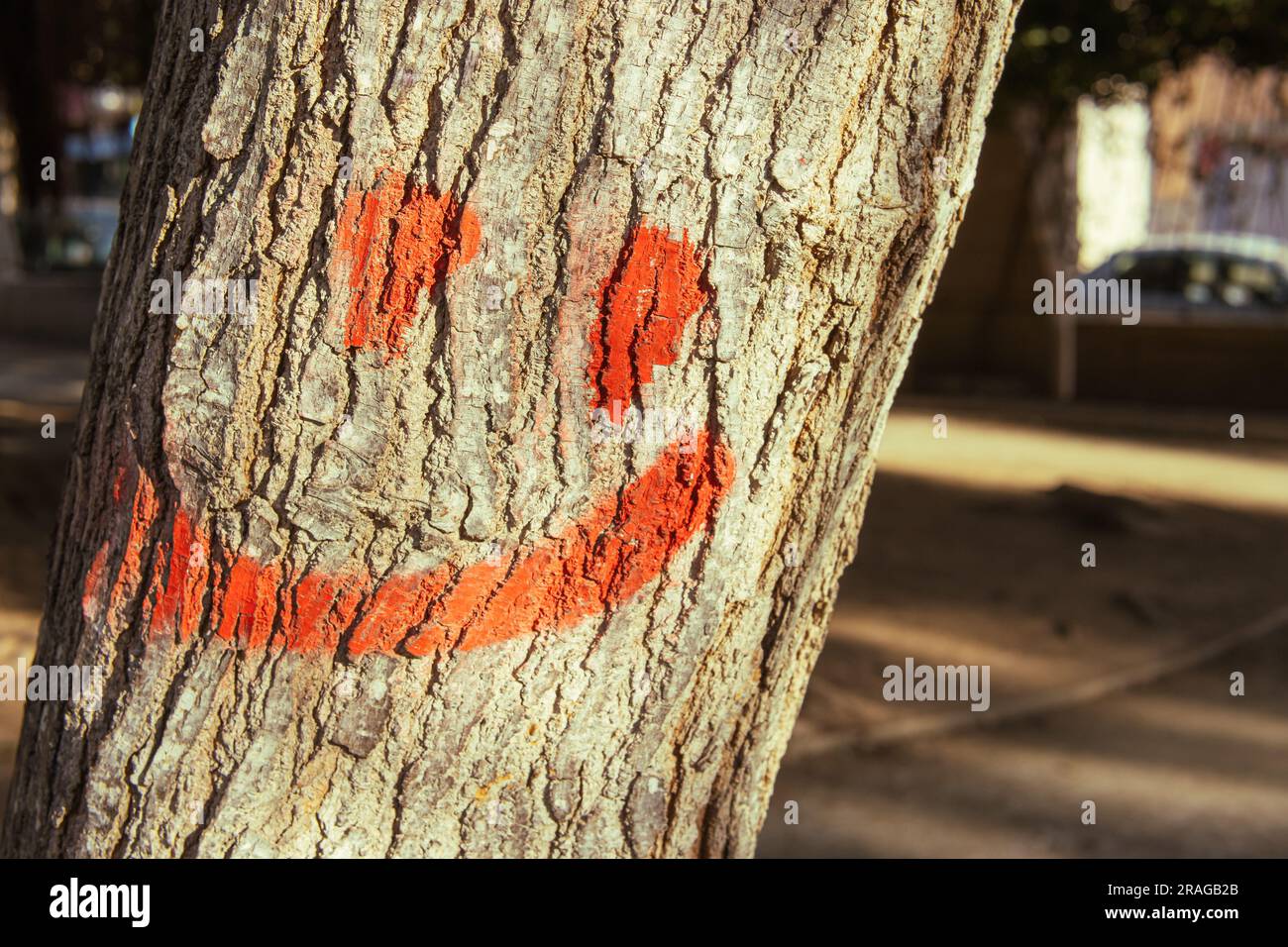 tree close-up, painted smiley face on the tree with red paint, close-up ...
