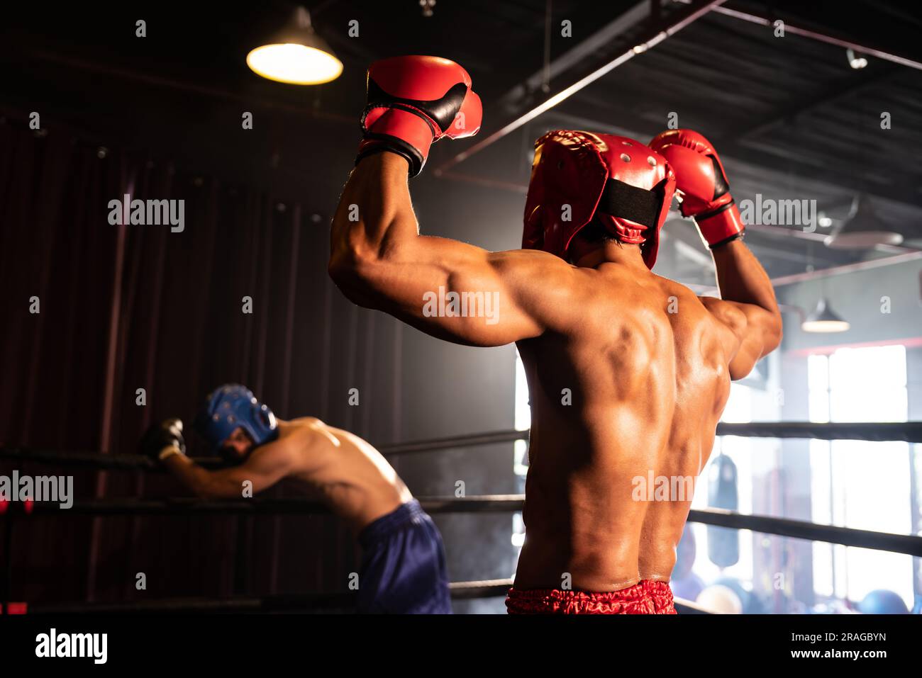Boxer and intimidation with victory or winner posing after he won ...
