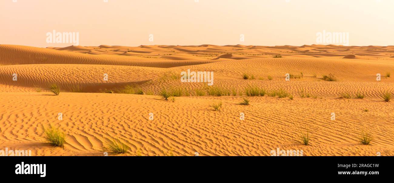 Desert landscape Dubai, UAE Stock Photo - Alamy