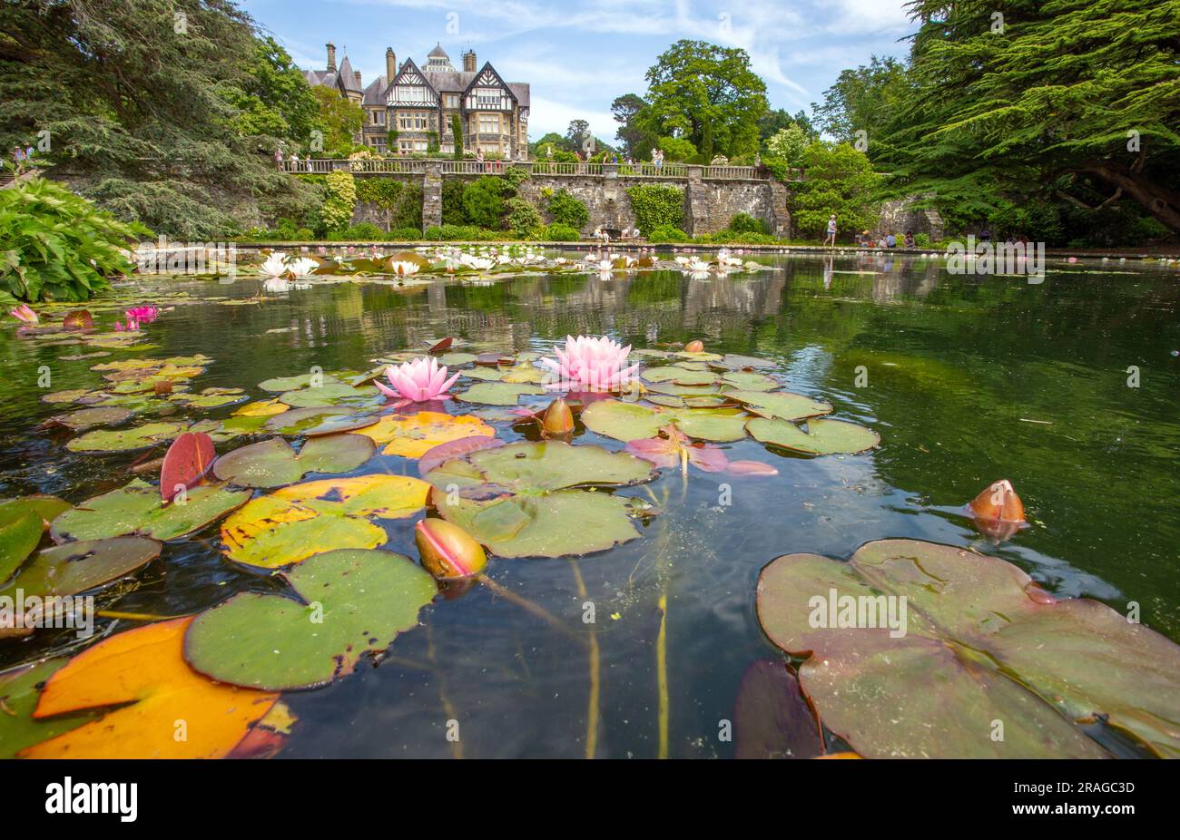 The National trust Bodnant gardens near Conway North Wales Stock Photo ...