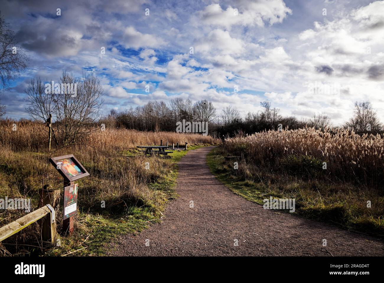 Old Moor Nature Reserve, Barnsley Stock Photo - Alamy