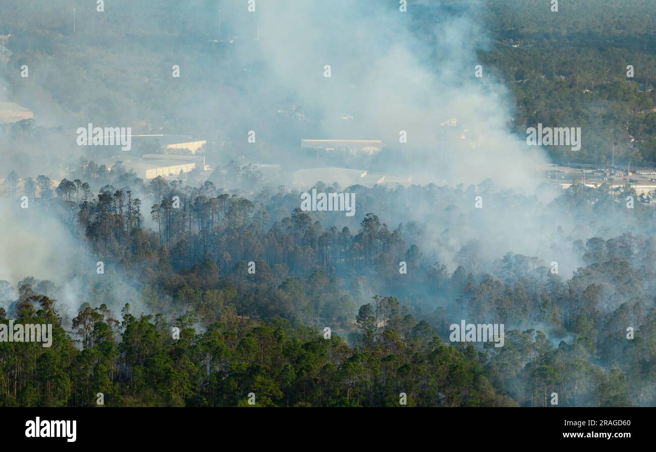 Aerial view of large wildfire burning severely in Florida jungle woods ...