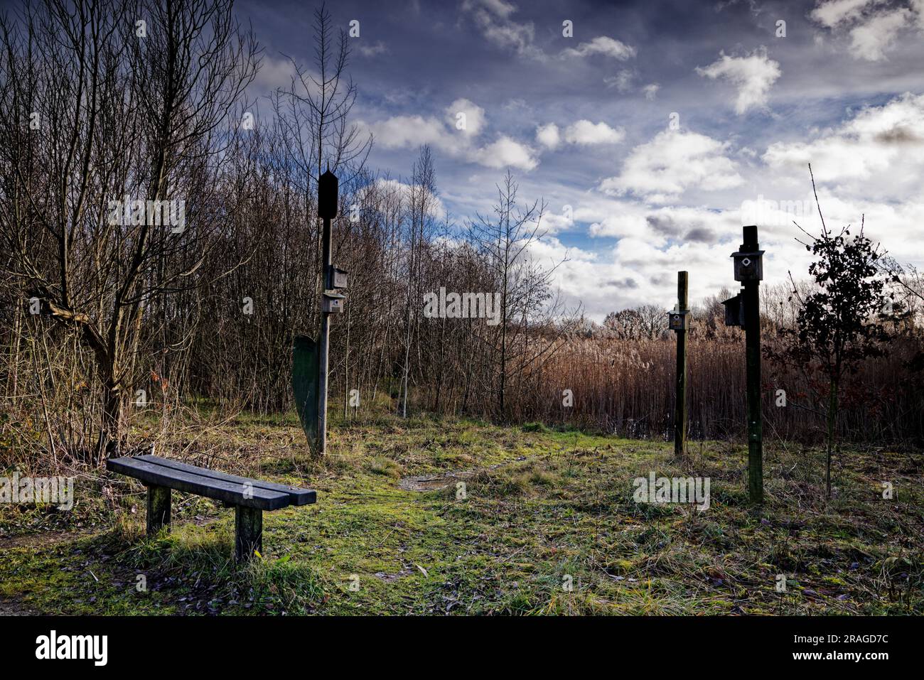 Bird boxes on nature reserve hi-res stock photography and images - Alamy