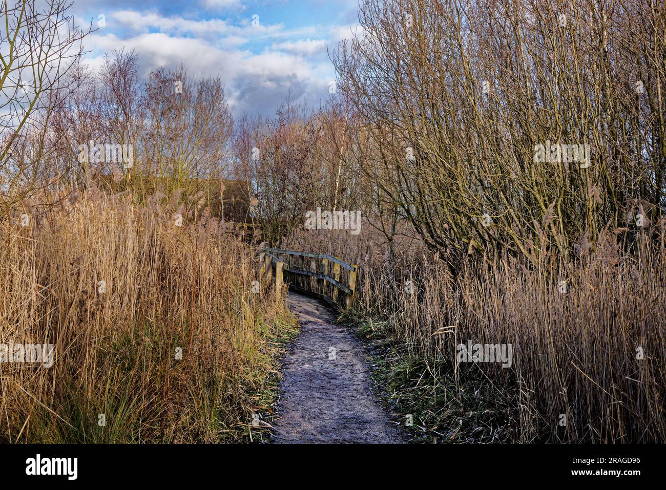 Old Moor Wetlands, Dearne Valley, South Yorkshire Stock Photo - Alamy