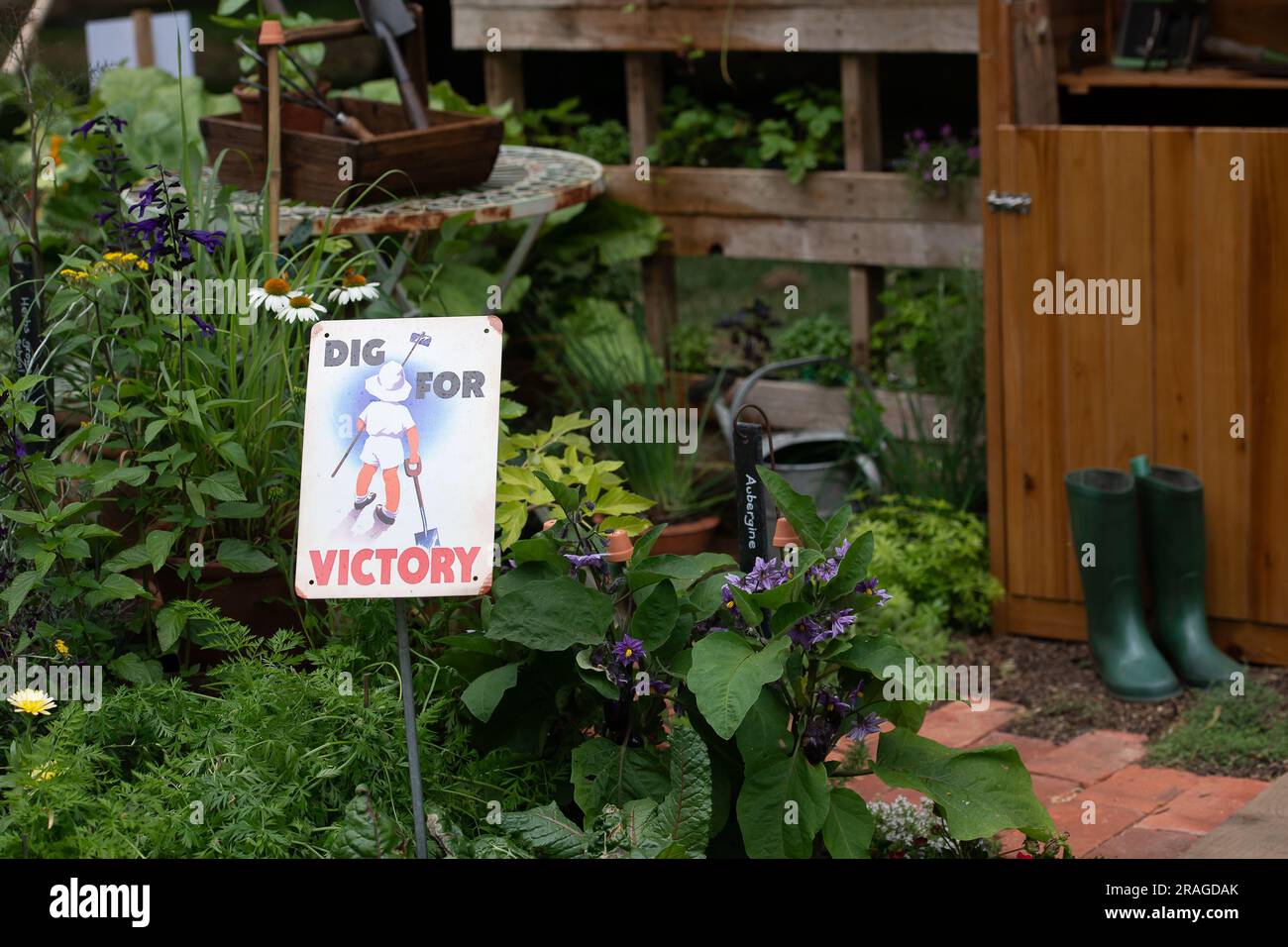 East Molesey, Surrey, UK. 3rd July, 2023. The Bagshot Inflant School ...