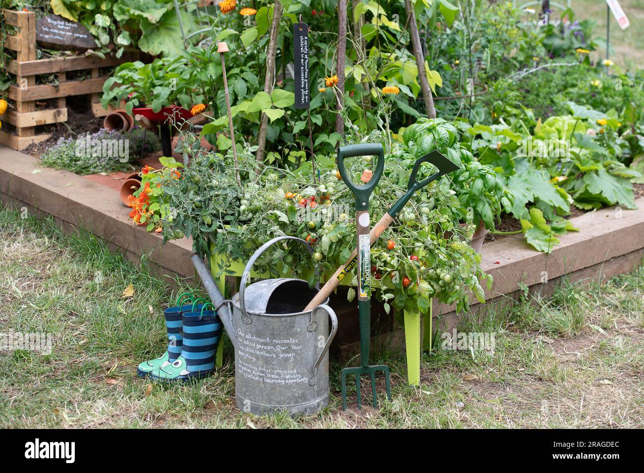 East Molesey, Surrey, UK. 3rd July, 2023. The Bagshot Inflant School ...