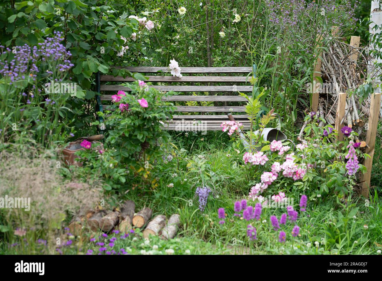 East Molesey, Surrey, UK. 3rd July, 2023. The RHS Feature Gardens, RHS ...