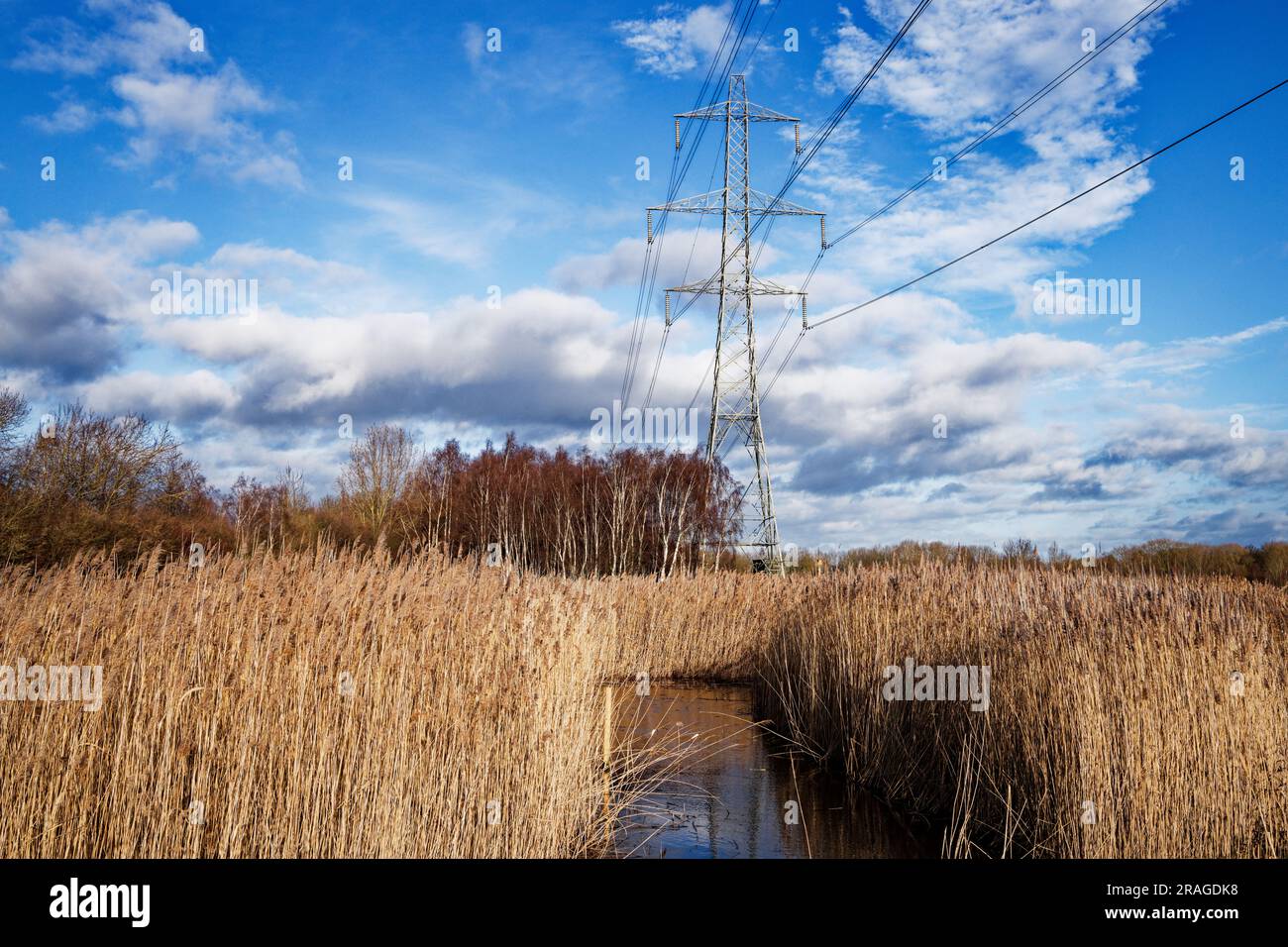 Old Moor Wetlands, Dearne Valley, South Yorkshire Stock Photo - Alamy