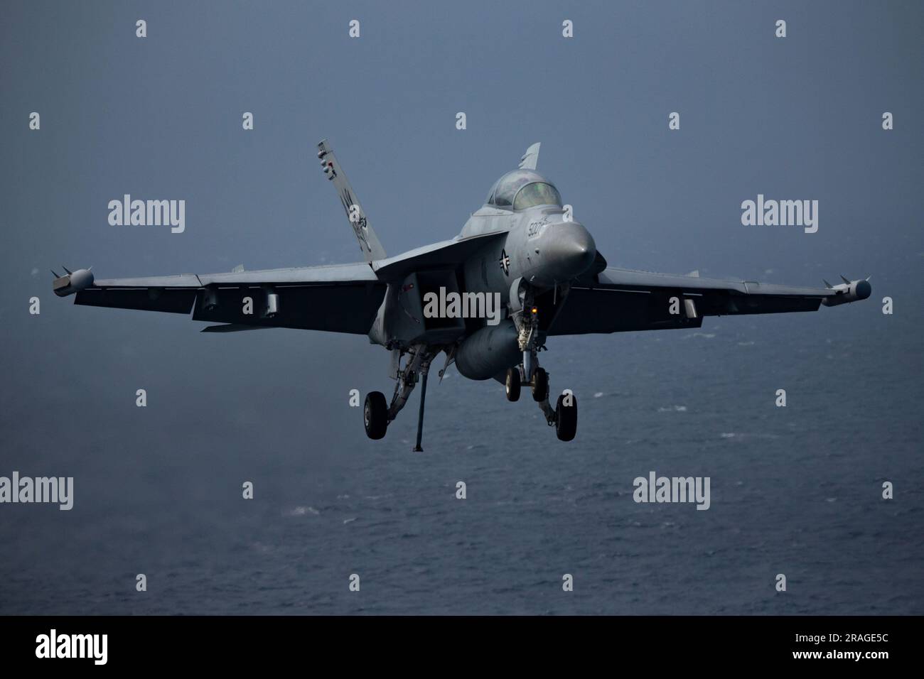 An E/A-18G Growler, attached to the "Gray Wolves" of Electronic Attack ...