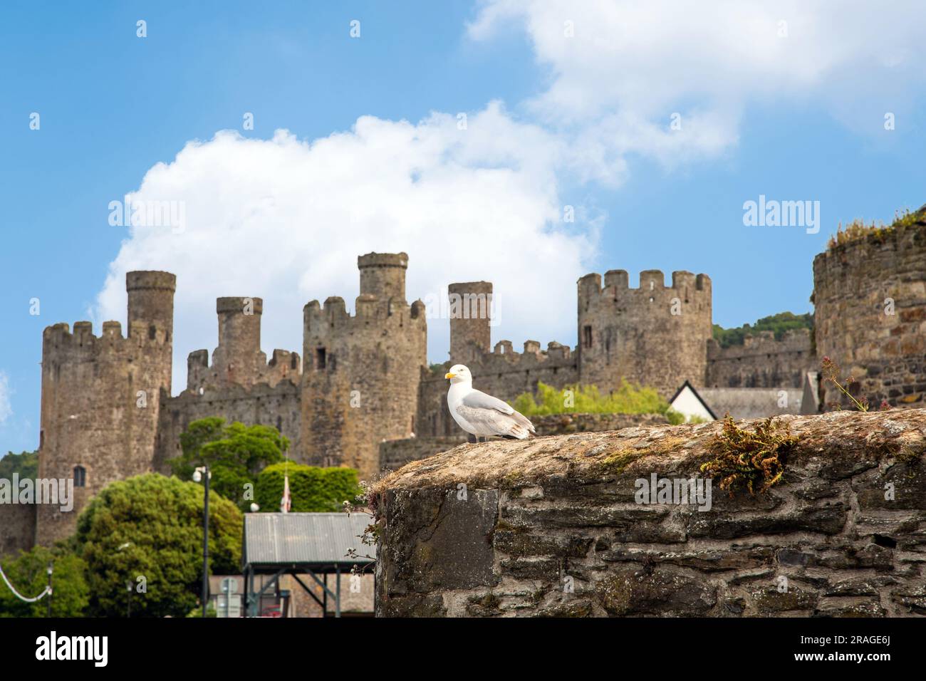 Conway castle North Wales Stock Photo - Alamy