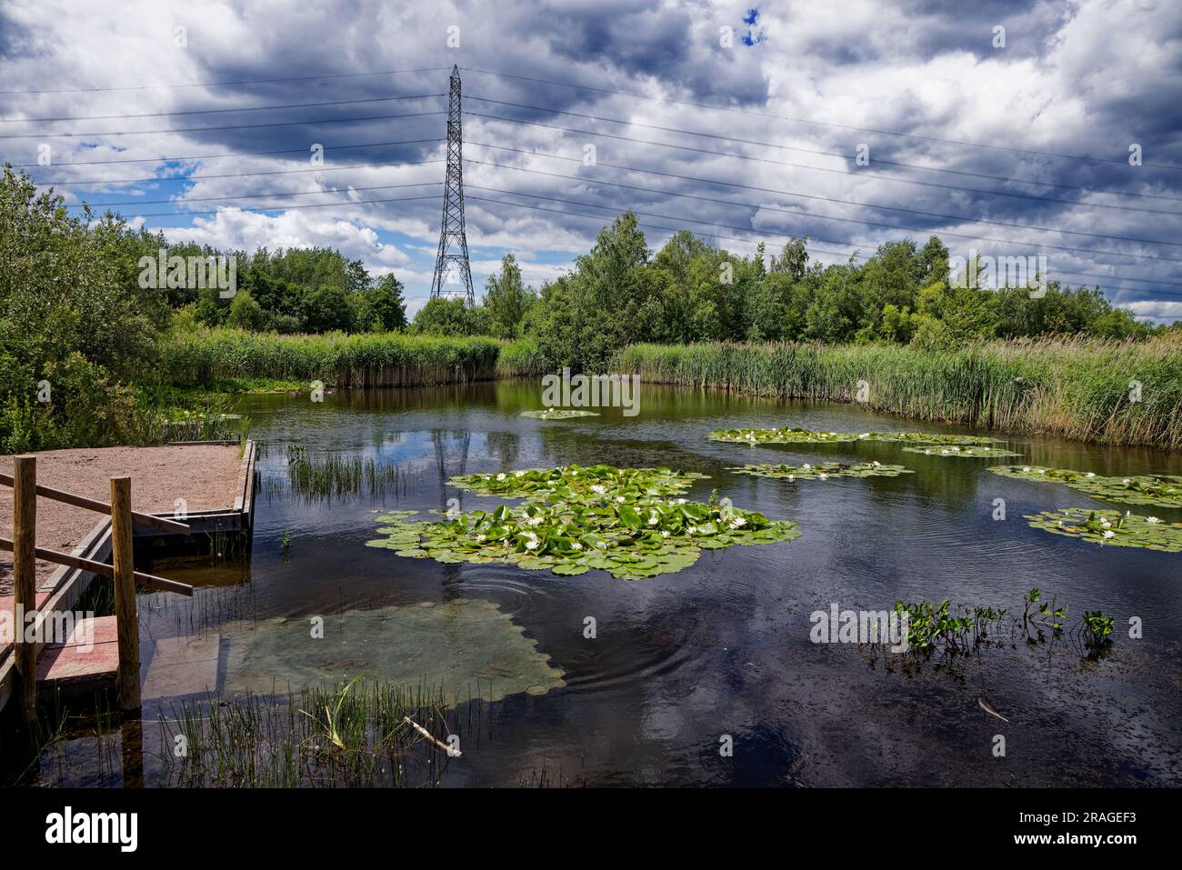 Old moor wetlands hi-res stock photography and images - Alamy