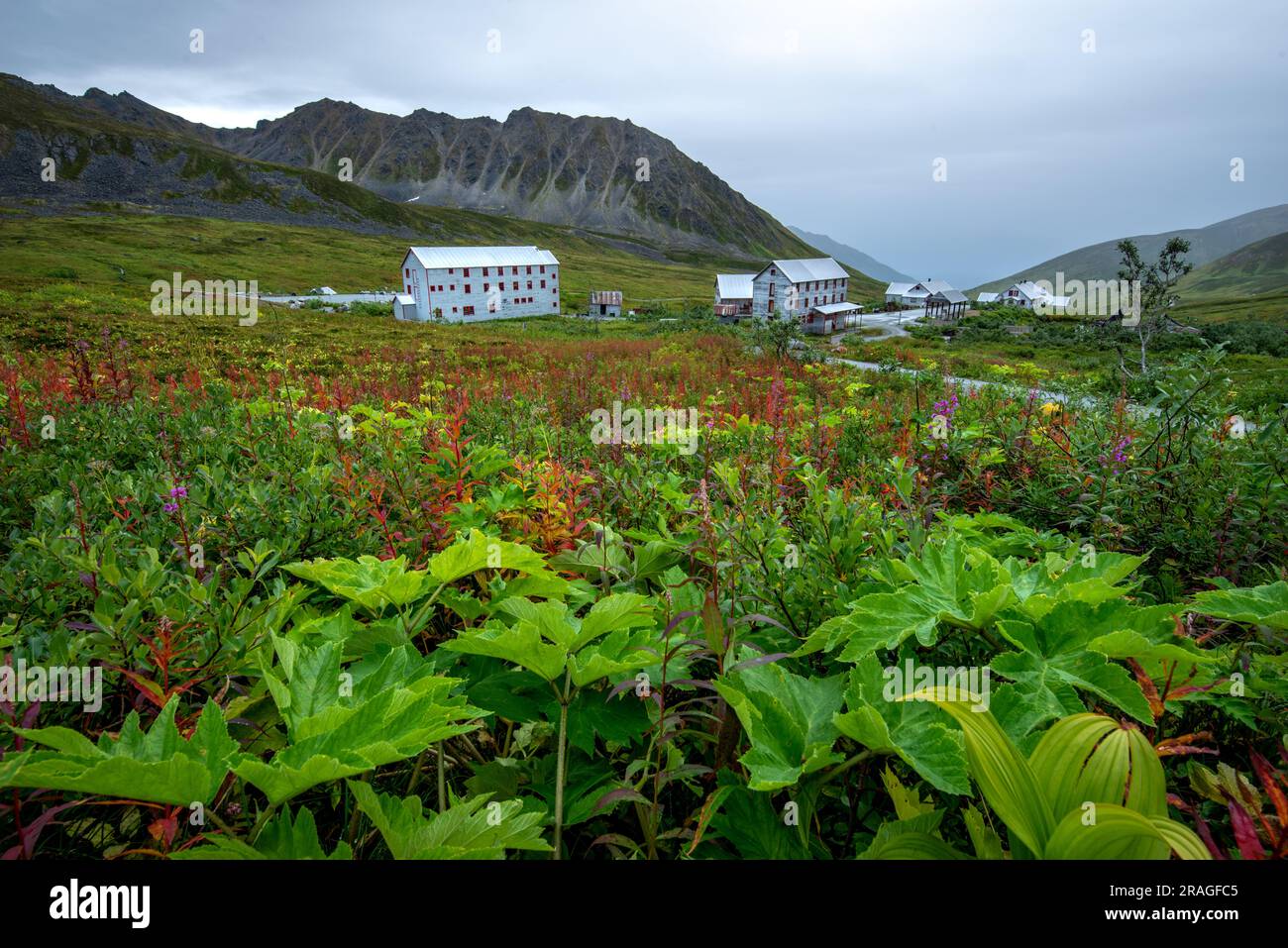 Independence mine state historical hi-res stock photography and images ...