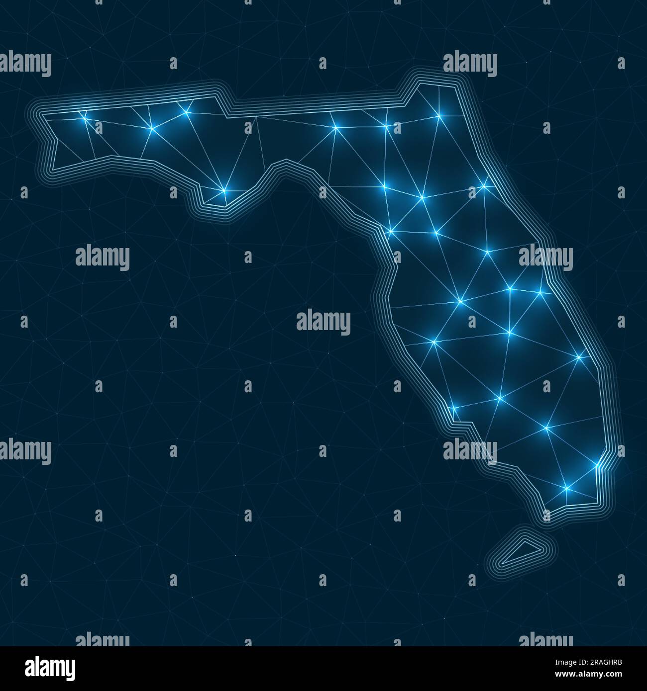 Florida network map. Abstract geometric map of the US state. Digital ...