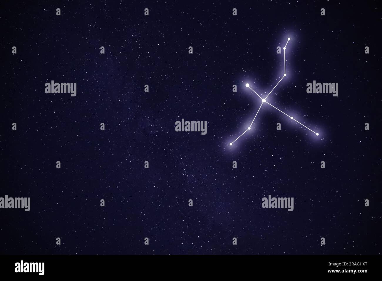 Swan (Cygnus) constellation. Stick figure pattern in starry night sky ...