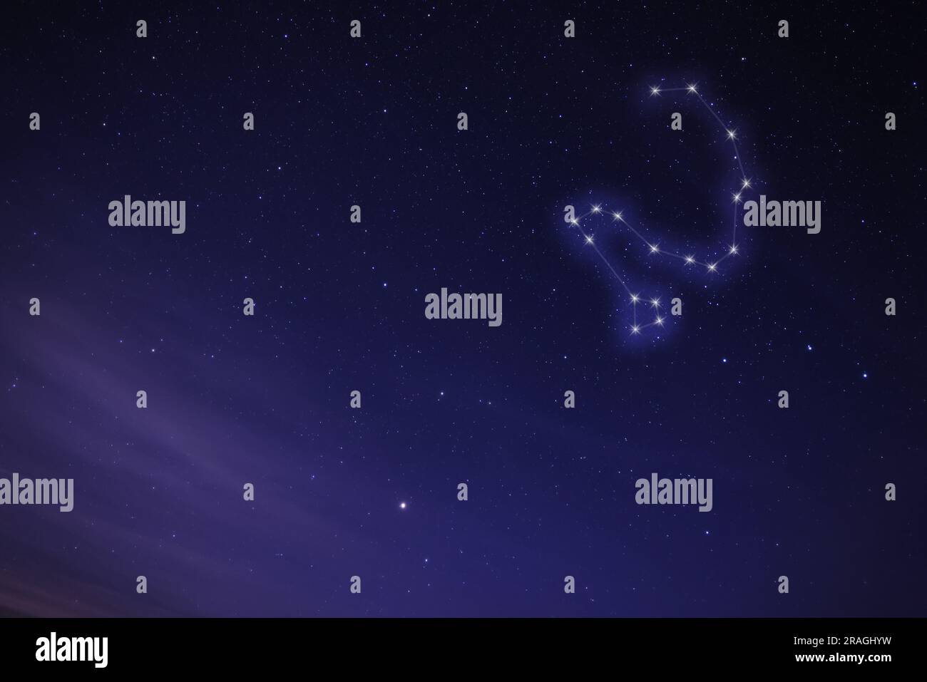 Draco (Dragon) constellation. Stick figure pattern in starry night sky ...