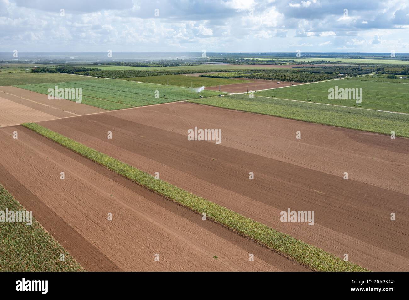 Aerial view of planted and unplanted agricultural fields and irrigation ...