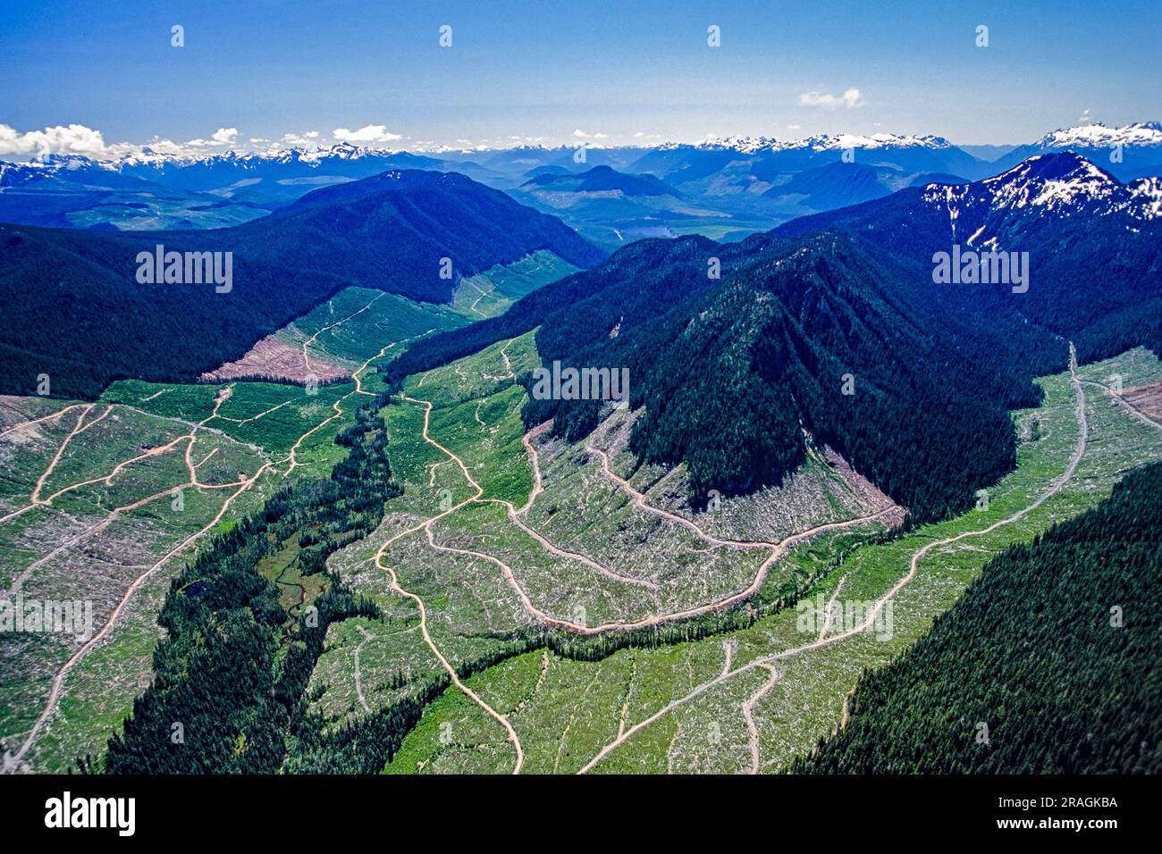 Aerial image of clearcut logging on Vancouver, Island, BC, Canada Stock ...