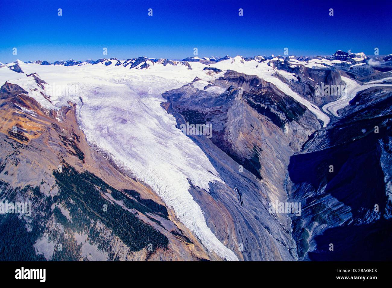 Aerial image of the Clemenceau Icefield, Rockies, BC, Canada Stock ...