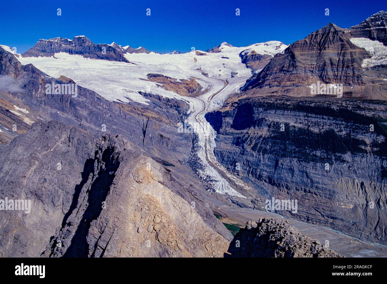 Aerial image of the Clemenceau Icefield, Rockies, BC, Canada Stock ...